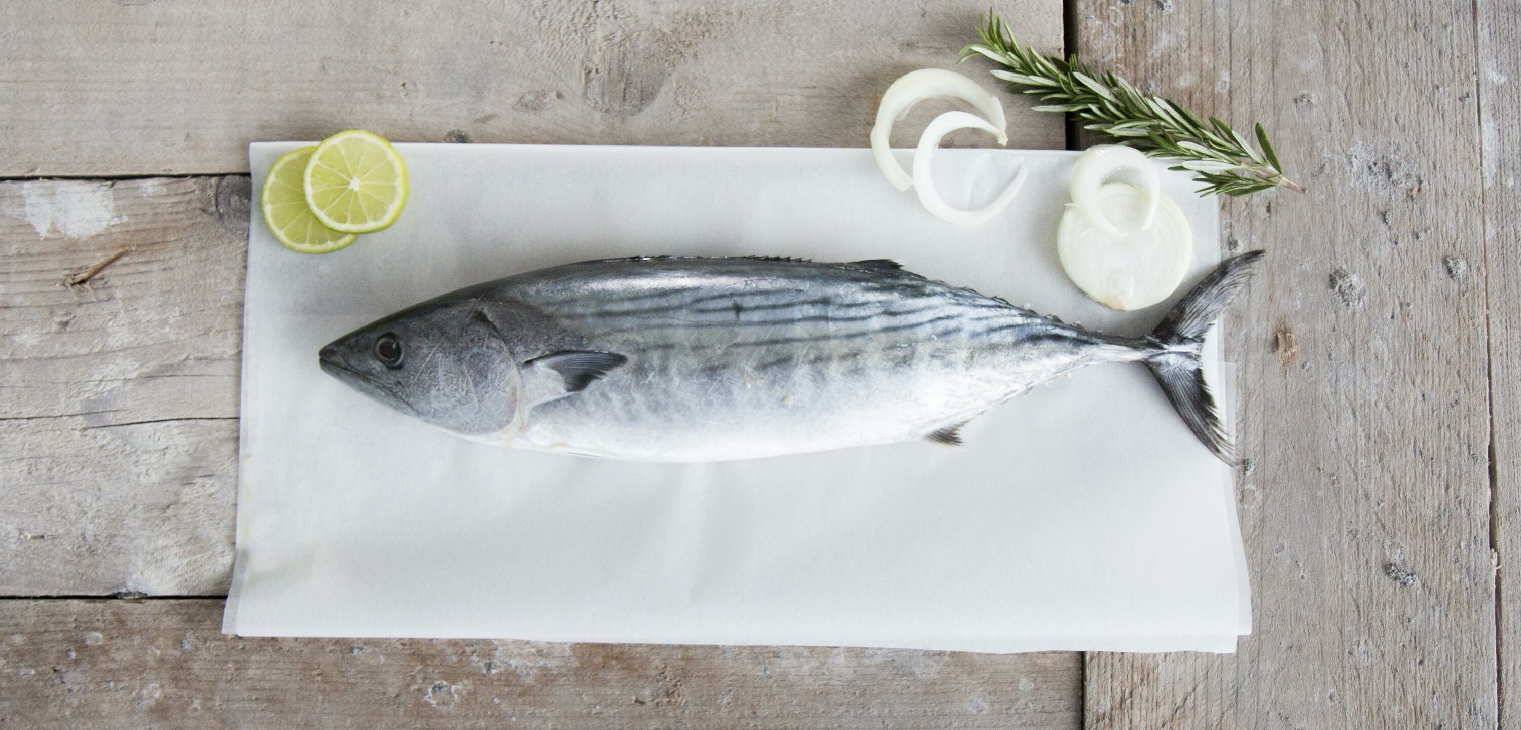 Tonijn | Visrecepten.nl