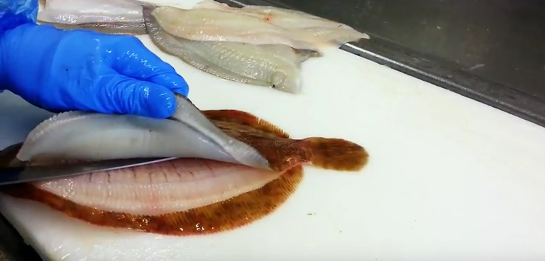 Hoe fileer je vis? | Visrecepten.nl