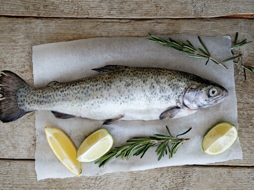 Gevulde zalmforel | Visrecepten.nl