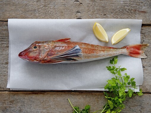 Gebakken rode poon met peterselie en citroen | Visrecepten.nl