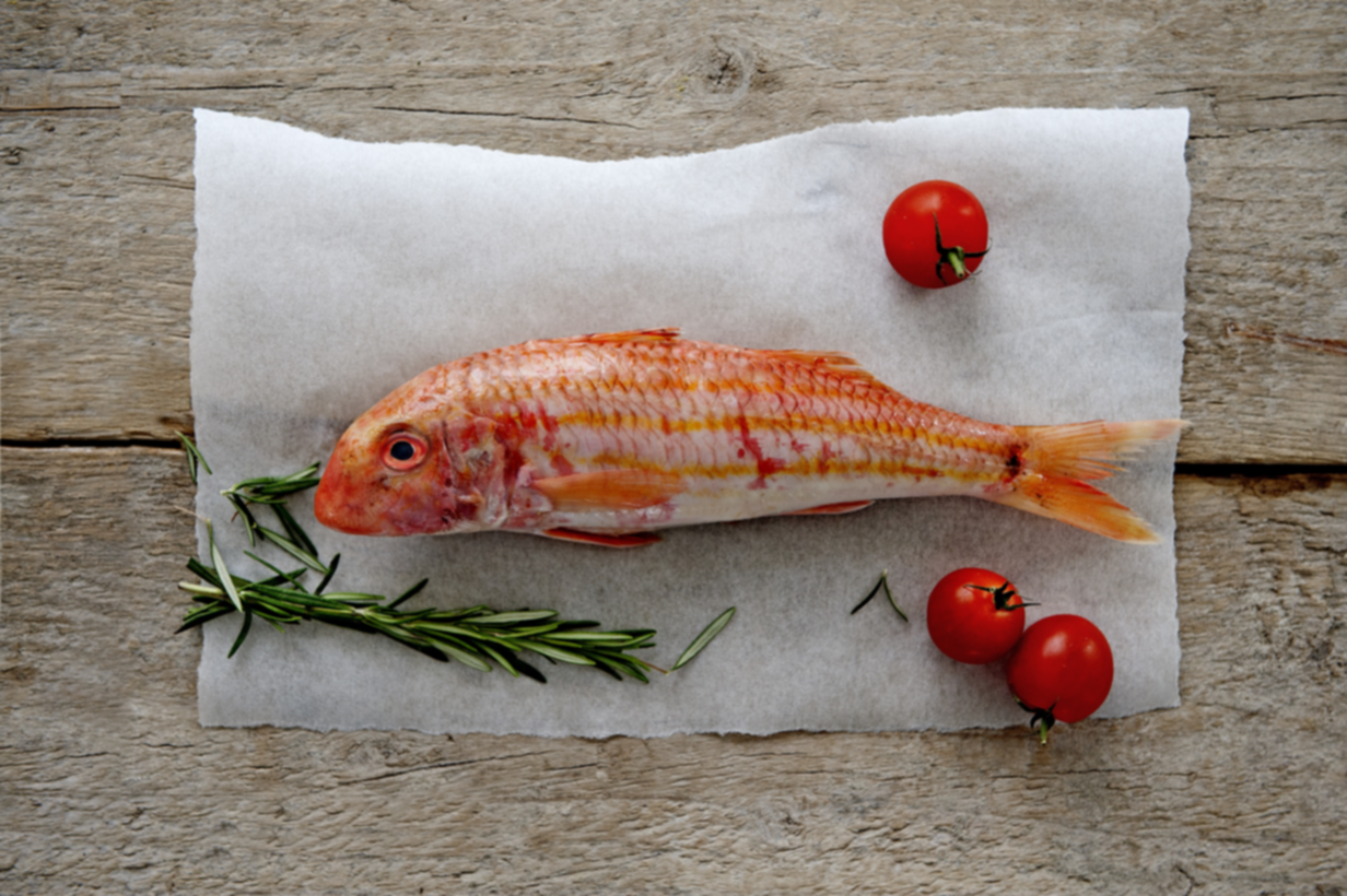 Welkom bij Visrecepten.nl | Visrecepten.nl